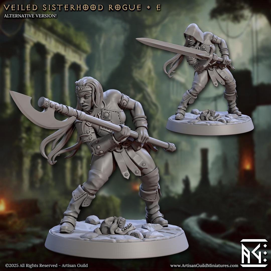 Veiled Sister Rogue V5 (30mm Base)3d Printed Resin Miniature | Tabletop ...