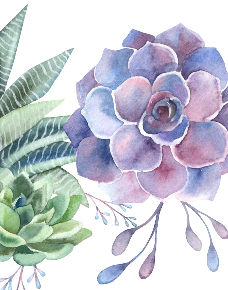 CACTI Watercolor Succulent Wall Art Printable Decor (5 Sizes) Instant ...