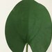 Long Green Artificial Leaf, Fake Round Leaf, Fake Foliage, Faux Lotus ...
