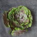 Artificial Cabbage Branch Fake Fruit Realistic Vegetables Food Fake ...