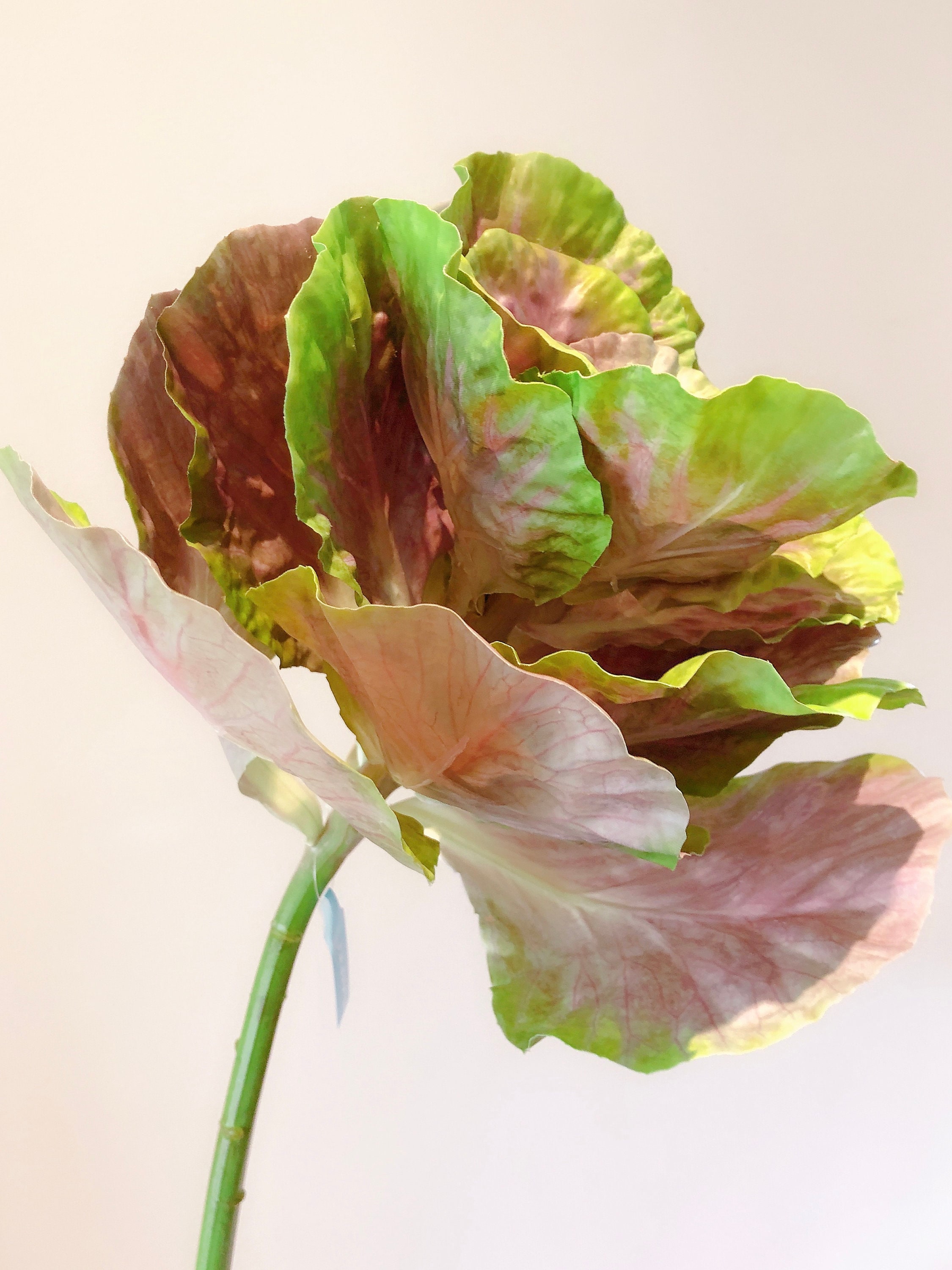 Artificial Cabbage Branch Fake Fruit Realistic Vegetables Food Fake ...