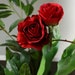 Artificial Red Rose, Beautiful Full Blossom Roses, Fake Roses for ...