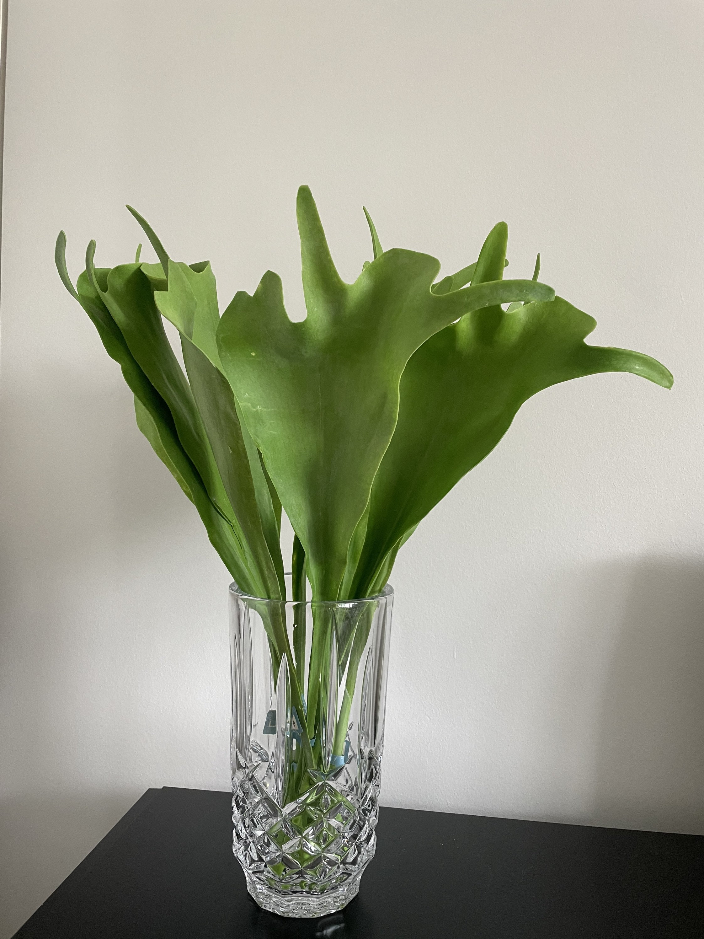 Fake Green Leaf, Artifitical Green Leaf, Realistic Fake Fresh Look Leaf ...