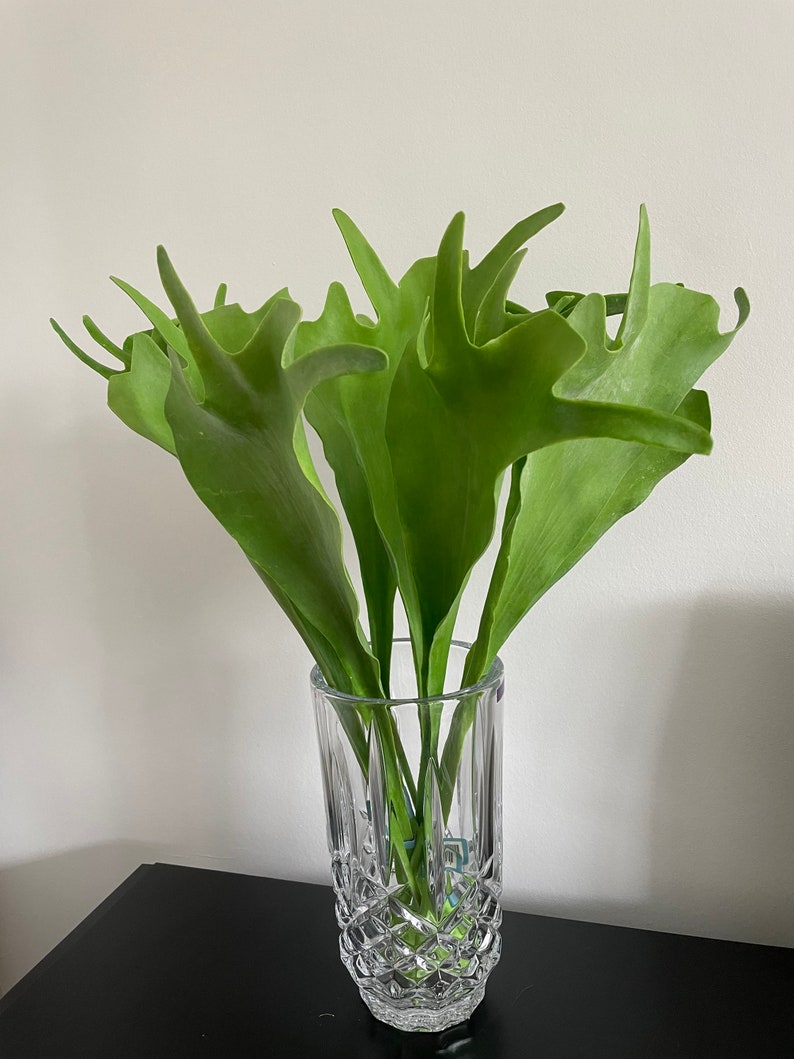 Fake Green Leaf, Artifitical Green Leaf, Realistic Fake Fresh Look Leaf ...
