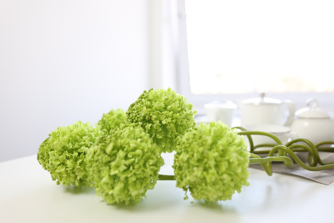 Artificial Green Round Eremurus With Fresh Look, Artificial Eremurus ...