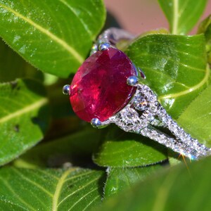2.04 Carat Ruby in Custom 18 Karat White Gold Mounting - Etsy