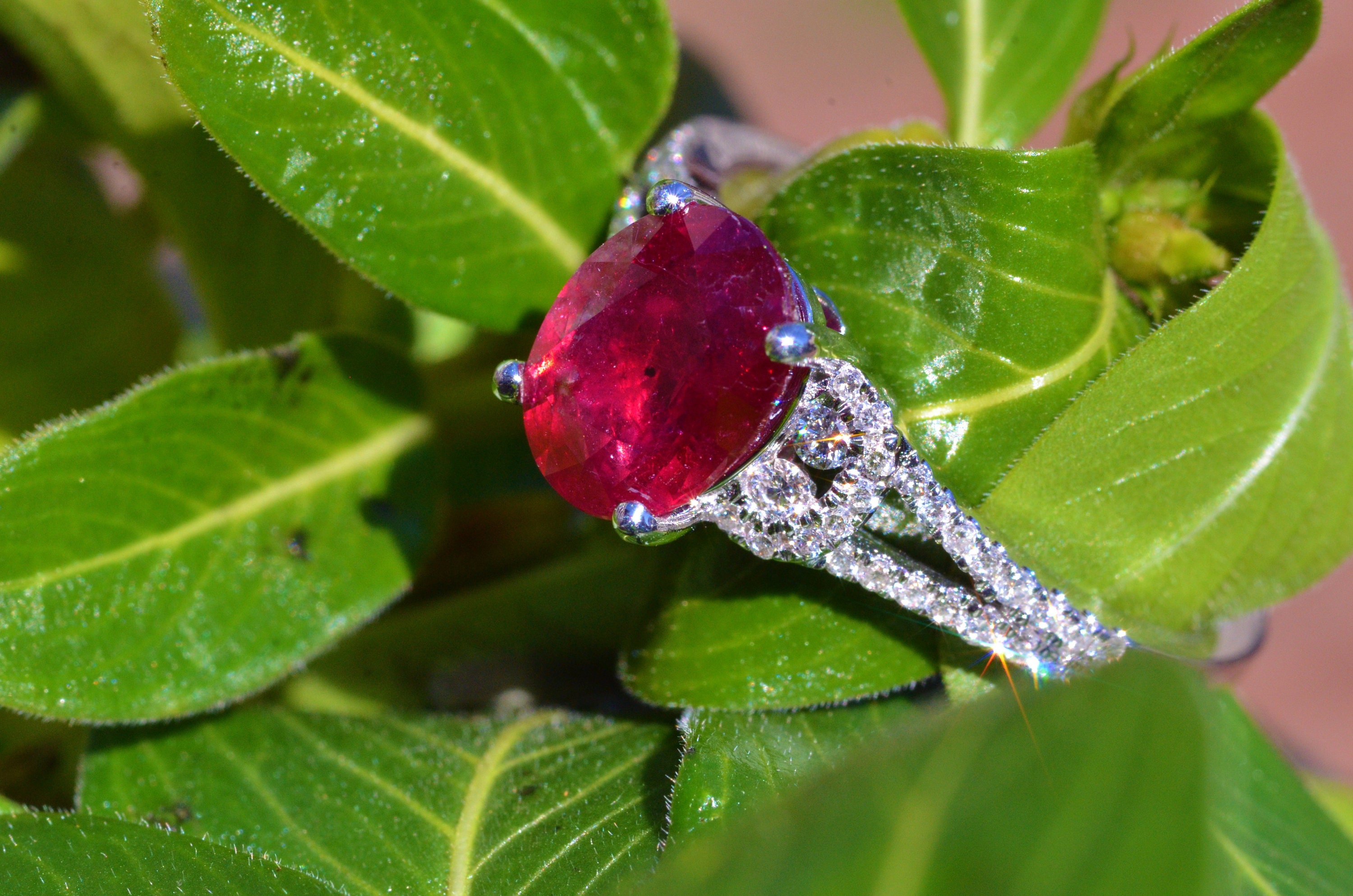 2.04 Carat Ruby in Custom 18 Karat White Gold Mounting - Etsy