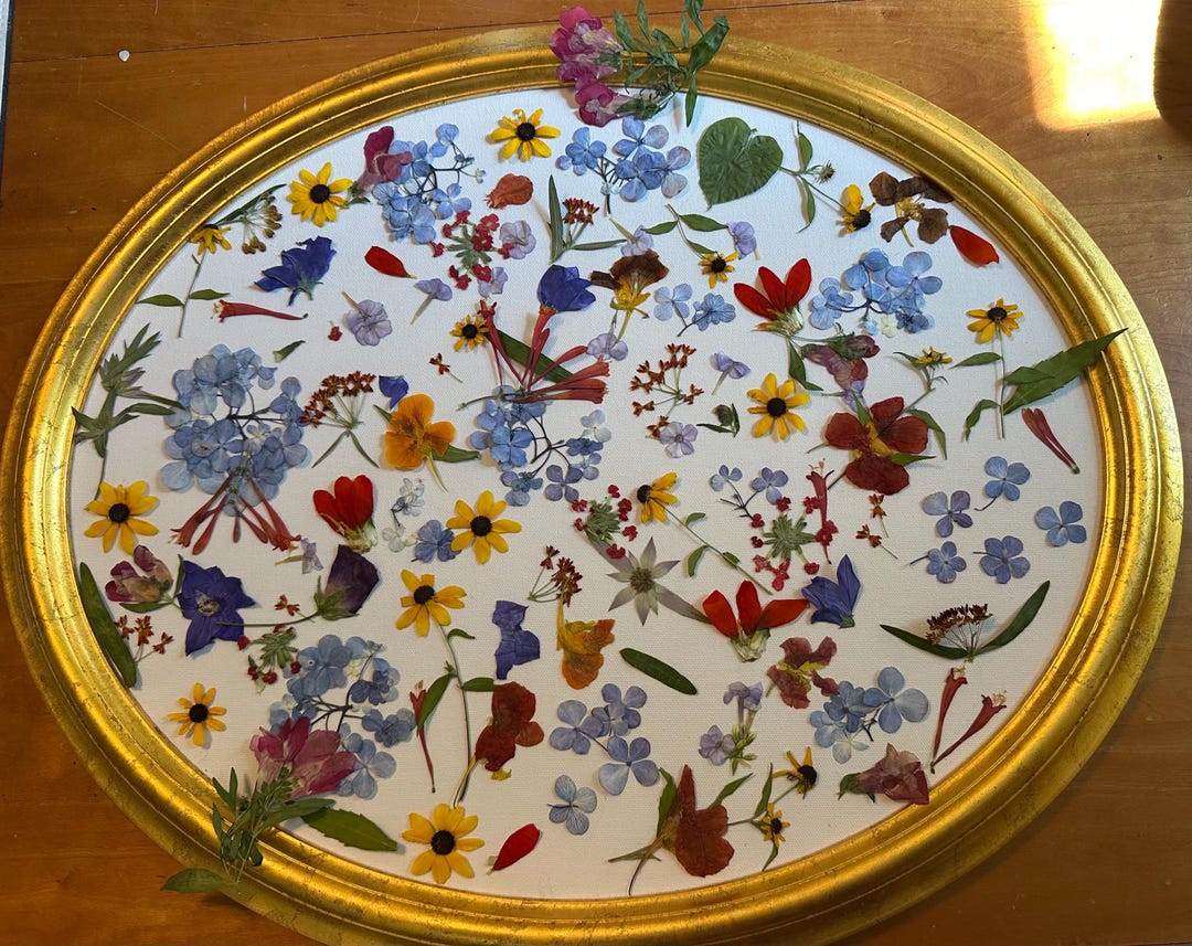 Mid-july ‘fresh off the Press’ Collection Pressed Flowers - Etsy