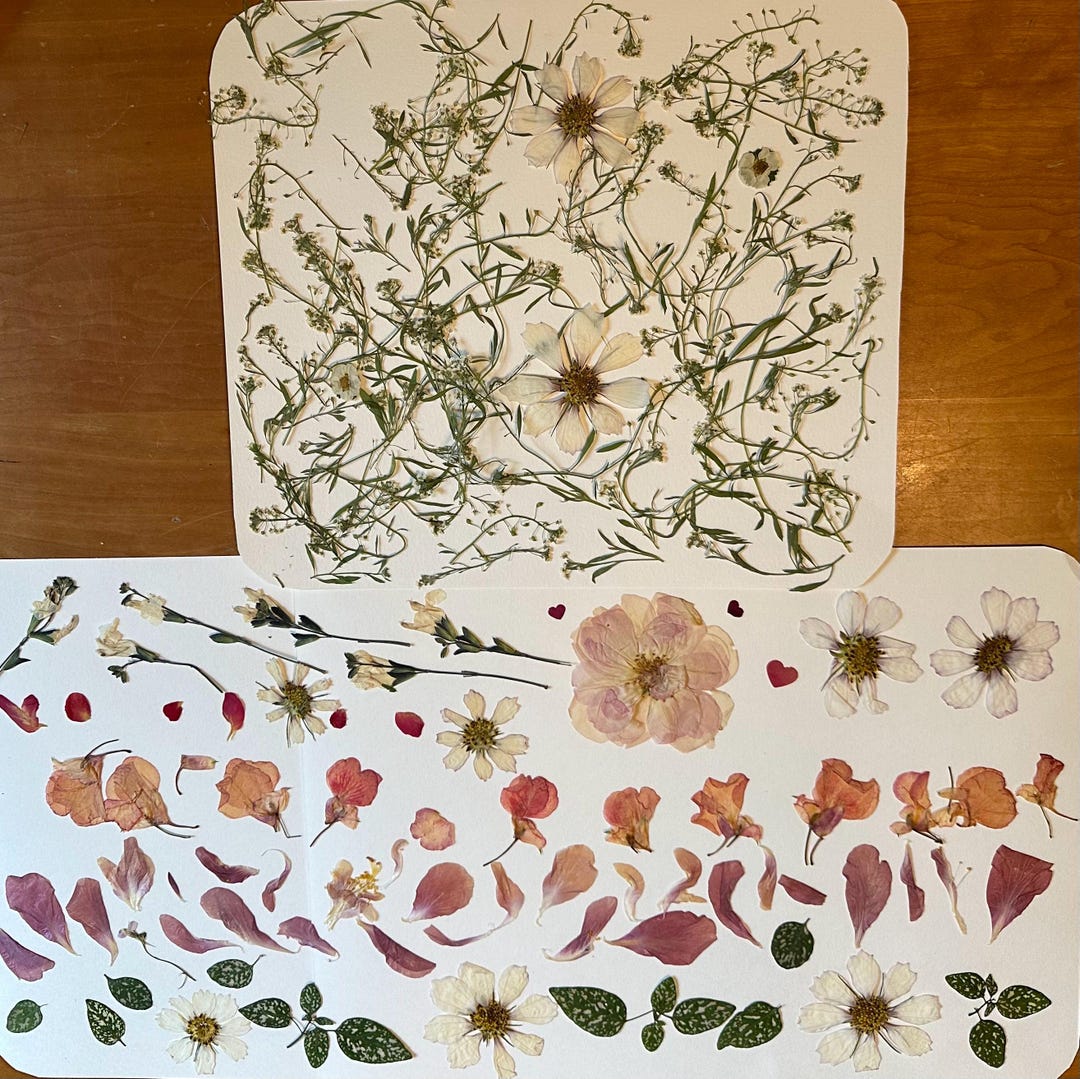 Soft Color Pressed Flowers, Food-safe Flowers for a Cake Rose, Alyssum ...