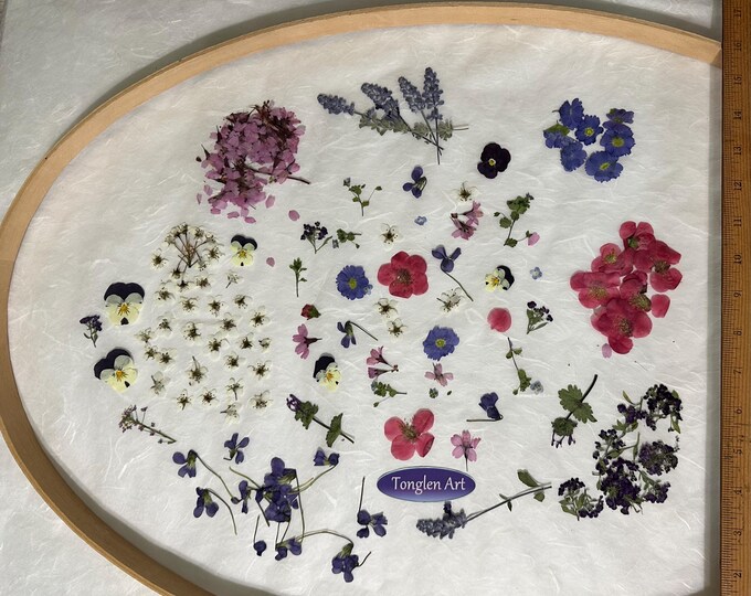 Delicate Edible Pressed Spring Flowers for Cake, Cookie, Candy, Egg ...