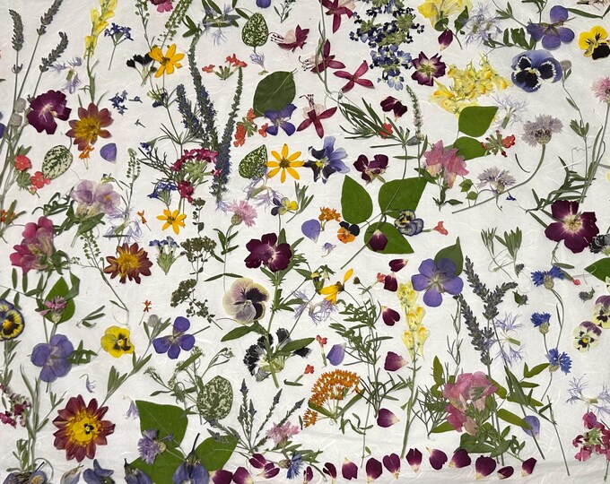 Bonanza of Food-safe Pressed Flowers for a Cake! - Etsy