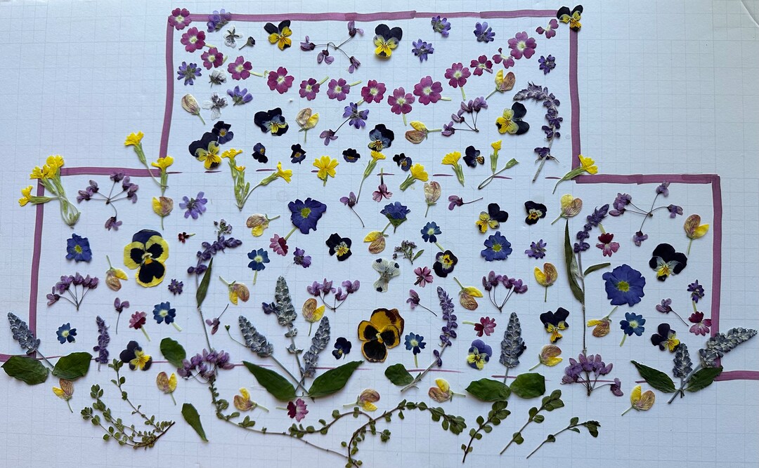 Wildflower Look Edible Food-safe Pressed Flowers Mix for Small Cake or ...
