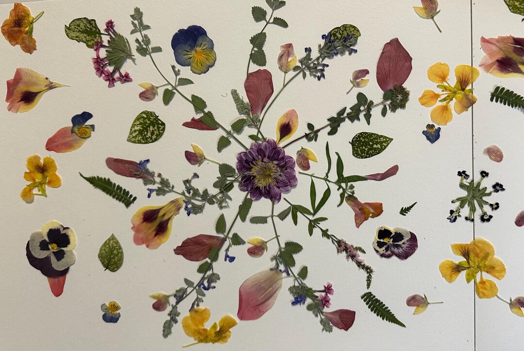 Food-safe edible Pressed Flowers for Cake Decorating, Mixed Colors - Etsy