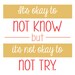 It's Okay to Not Know but It's Not Okay to Not Try - Etsy