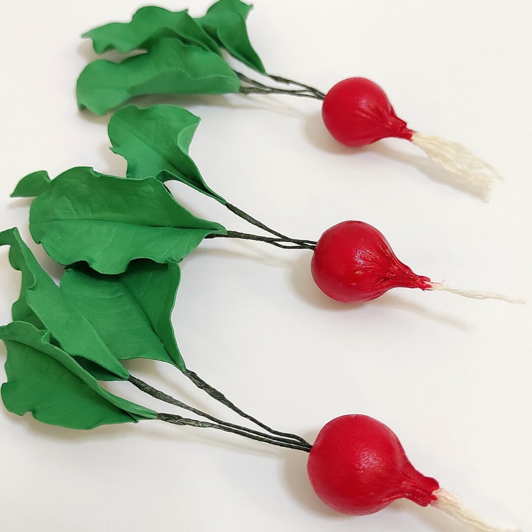 Red Radish for Father's Day or Kitchen Decor Birthday Gift for Home ...