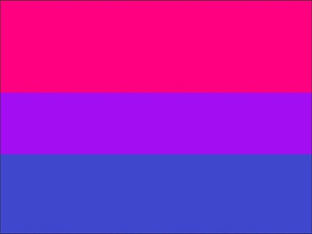 Bi Sexual Flag Gay Pride 5ft X 3ft Large Flag Flag Has 2 Etsy Australia