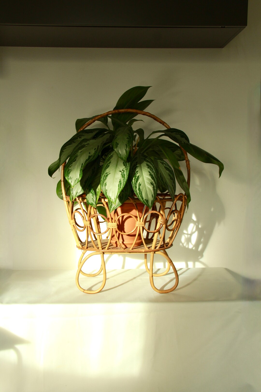 Adele, Mid-century Bamboo Plant Holder, Italy, 1960s - Etsy