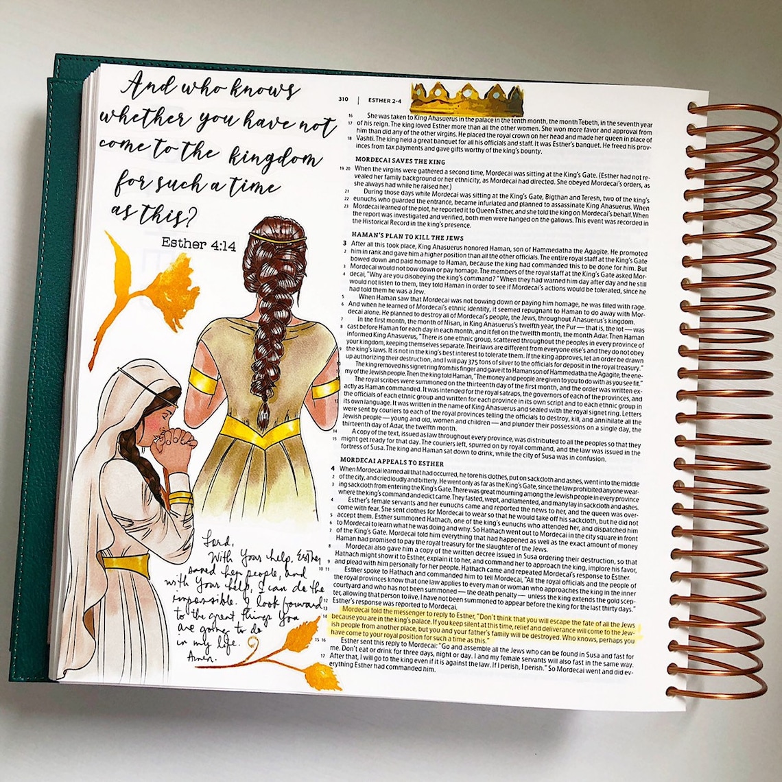 Women of the Bible: Esther. Bible Journaling/faith Planner Digital Download Printable - Etsy