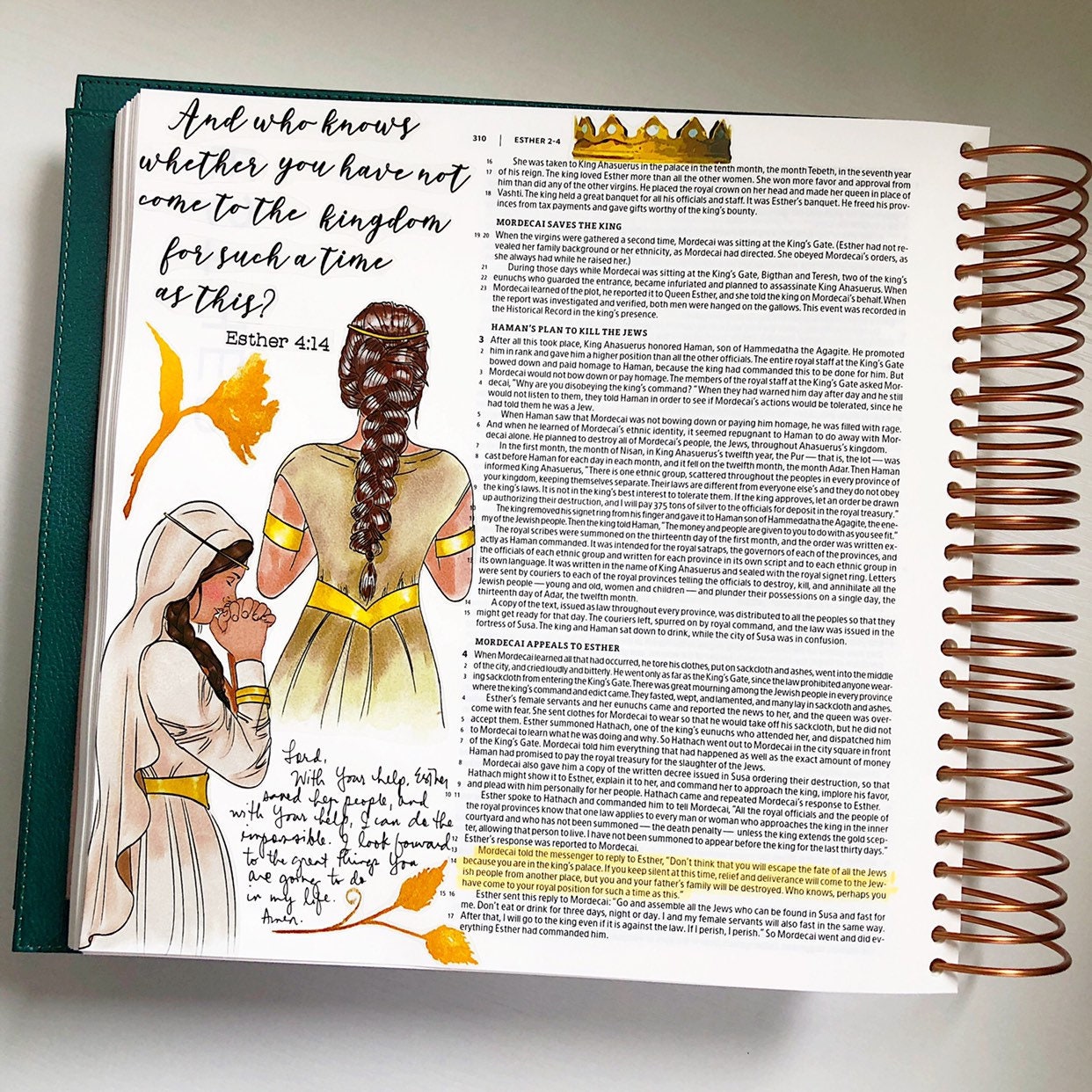 Women of the Bible: Esther. Bible Journaling/faith Planner - Etsy