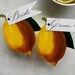 Wedding Lemon Name Card | Wedding Place Setting | Blue and Yellow ...