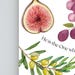 Quran Fruits Quran Verse Islamic Wall Art Botanical Fruits Printable ...