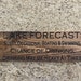 Funny Lake Forecast Sign, Hand Carved Pine, Indoor/outdoor Decor - Etsy