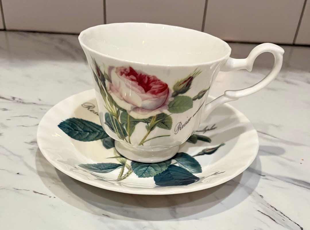 Redoute Roses by Roy Kirkham Tea Cup and Saucer - Fine Bone China ...