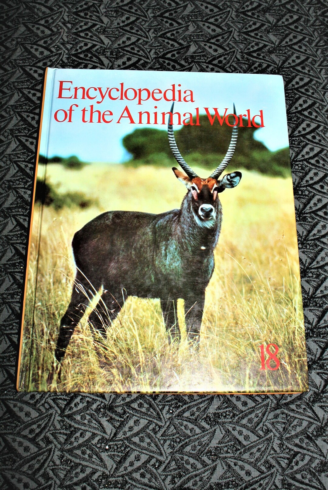 Encyclopedia of the Animal World - Shape of Animals to Starfishes - Vol ...