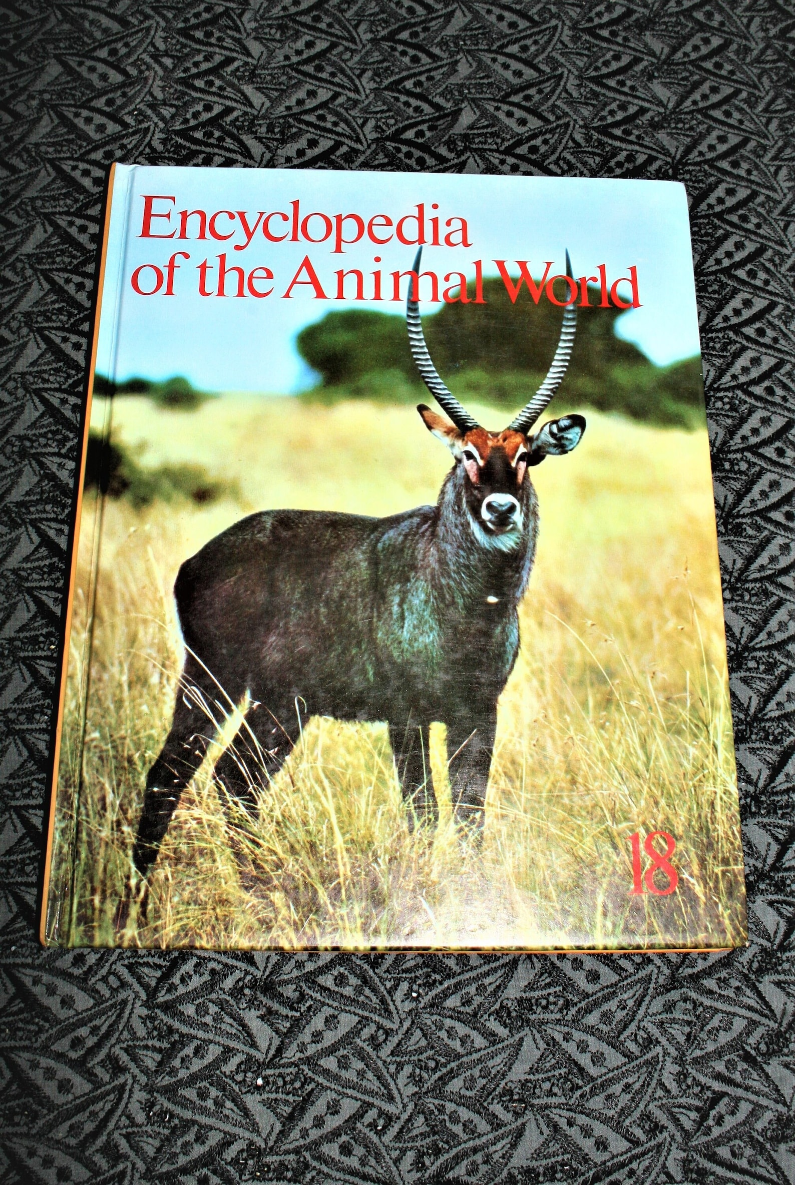 Encyclopedia of the Animal World - Shape of Animals to Starfishes - Vol ...