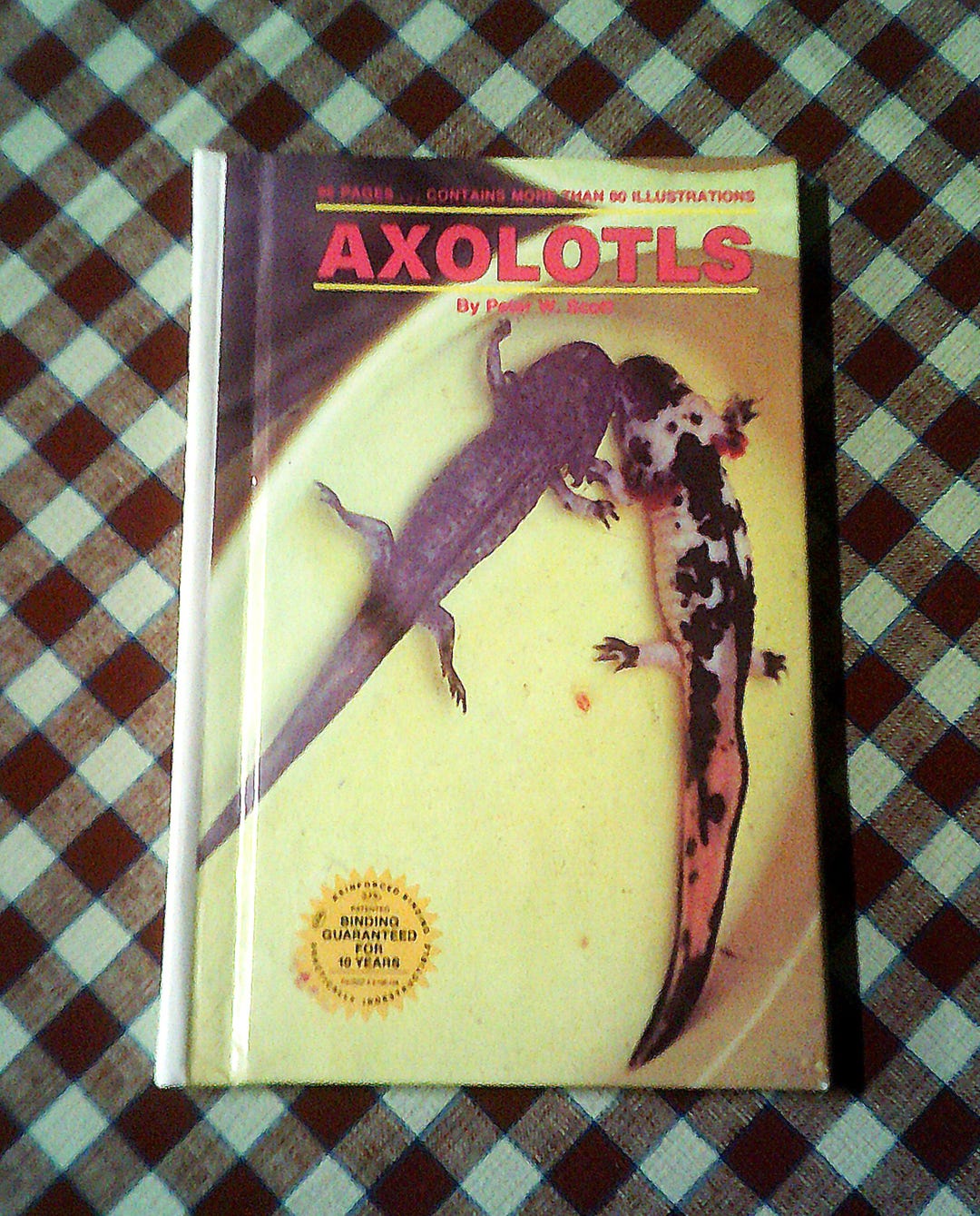 Axolotls by Peter W. Scott - 1981 Vintage Hardcover - Pre-loved Axolotl ...