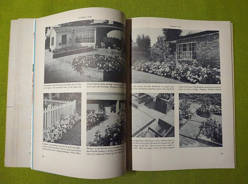 How to Grow Roses by John Paul Edwards - Revised Edition - A Sunset ...