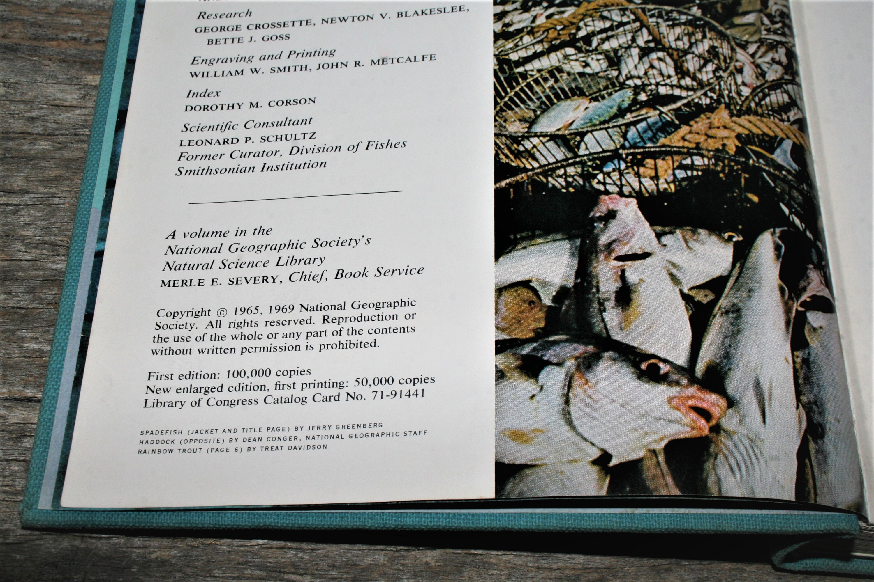 Wonderous World of Fishes by National Geographic Society New - Etsy