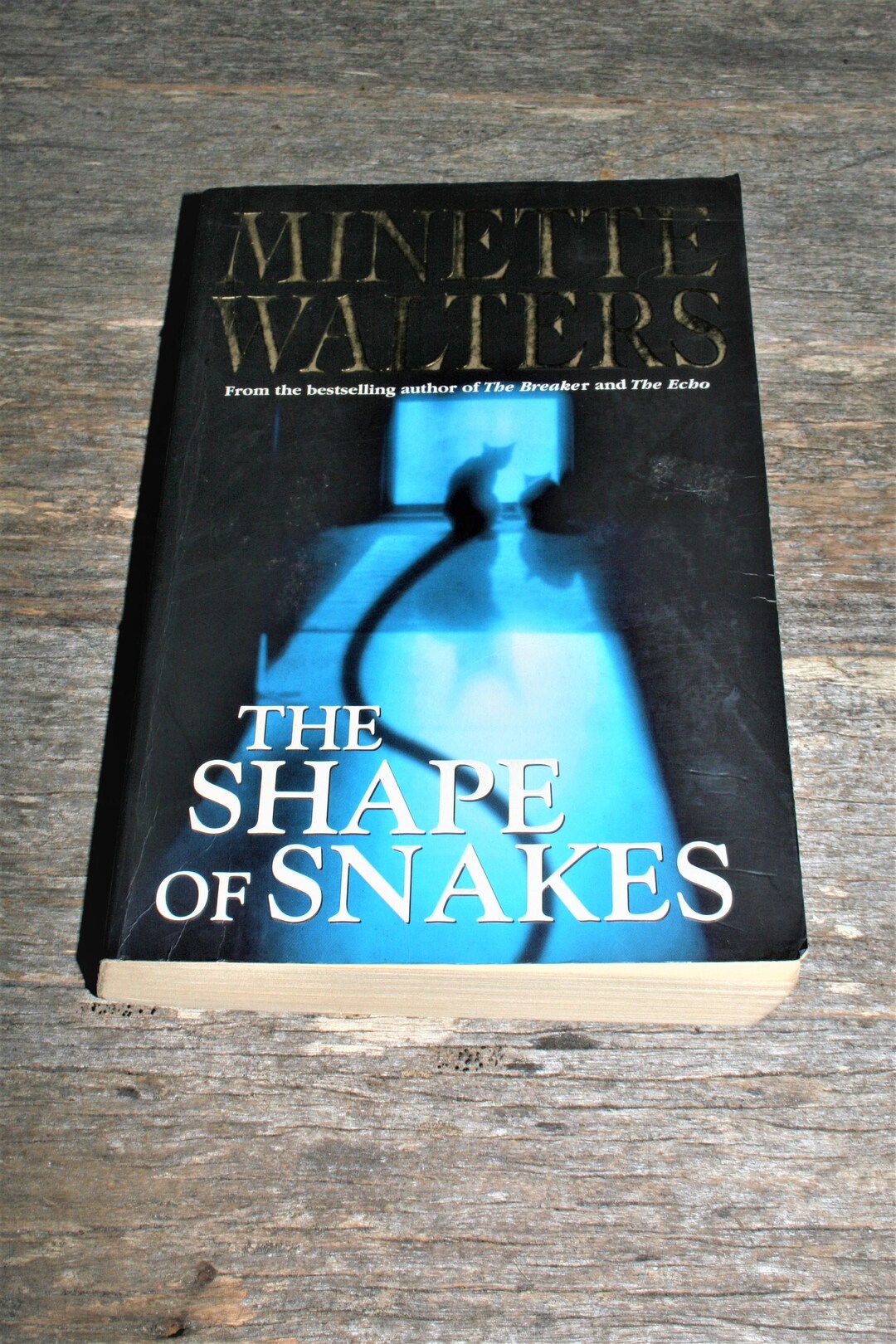 The Shape of Snakes by Minette Walters 2000 Vintage Paperback - Etsy