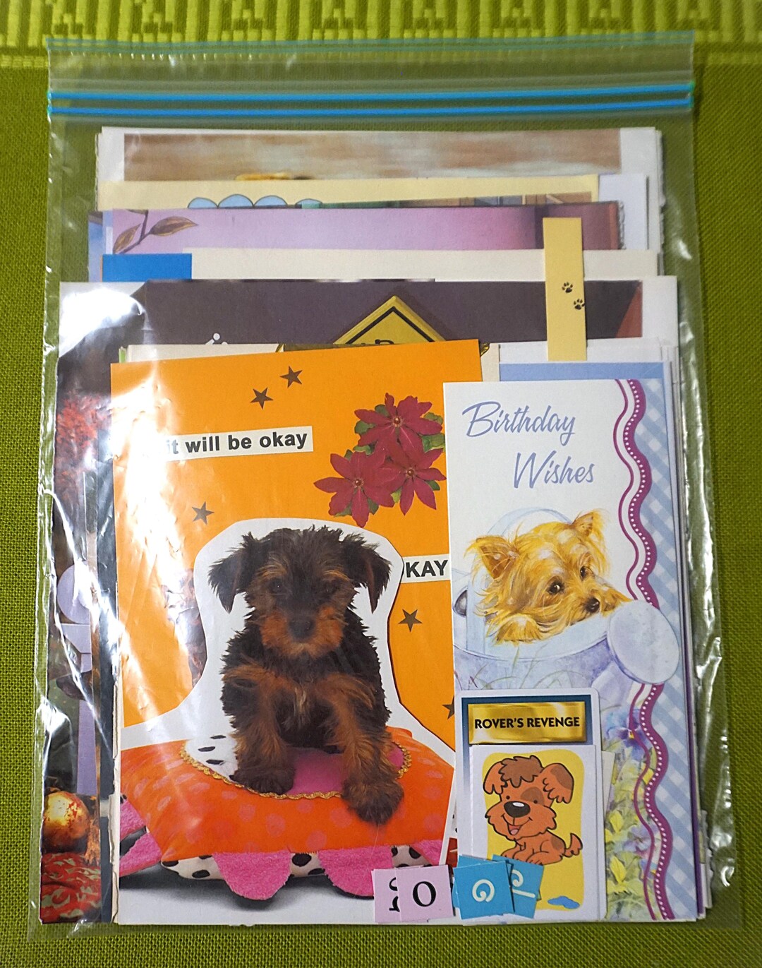 Dog Theme Vintage Book Page Ephemera Pack - 40 Sheets of Vintage Book ...