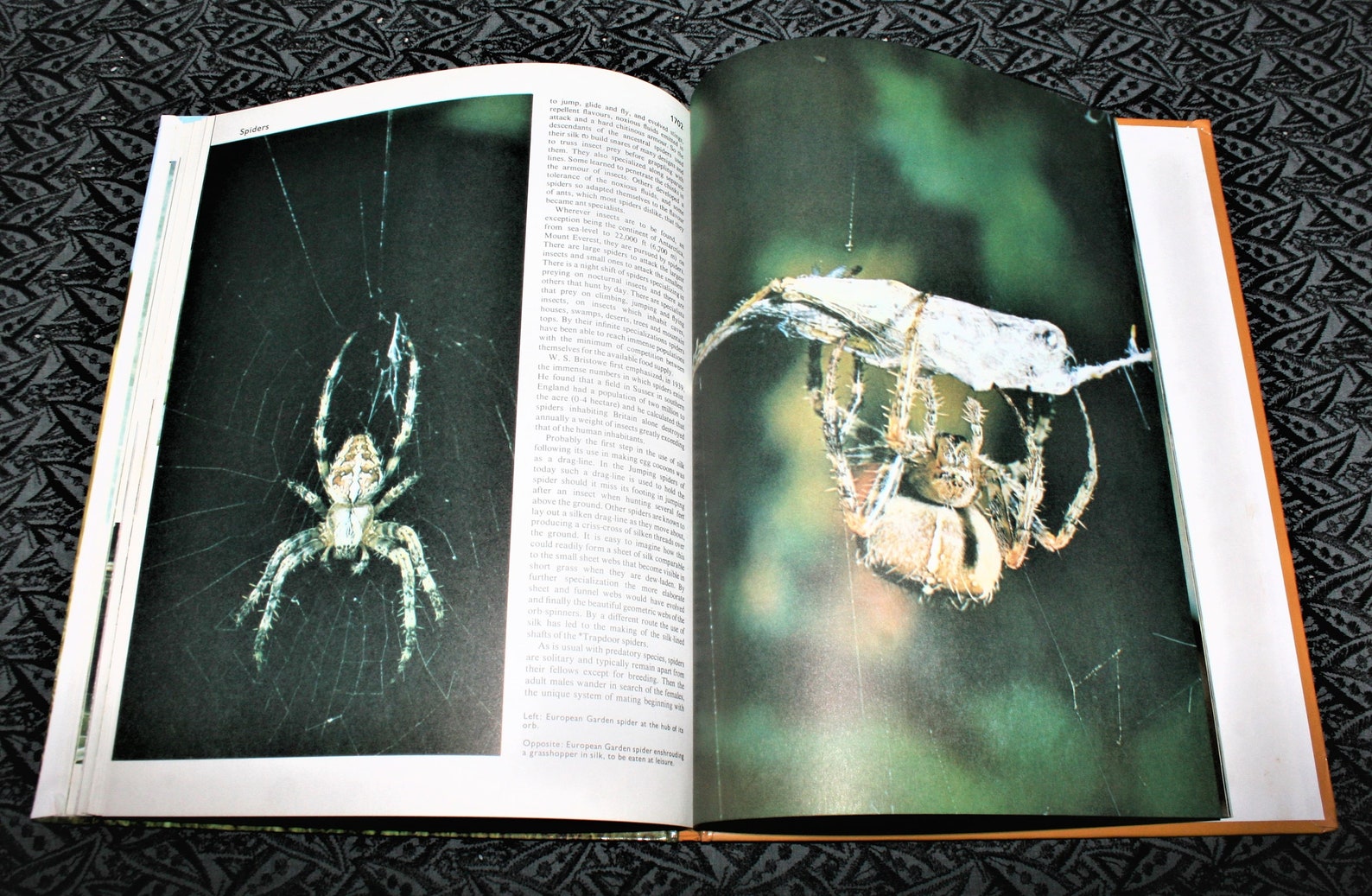Encyclopedia of the Animal World - Shape of Animals to Starfishes - Vol ...