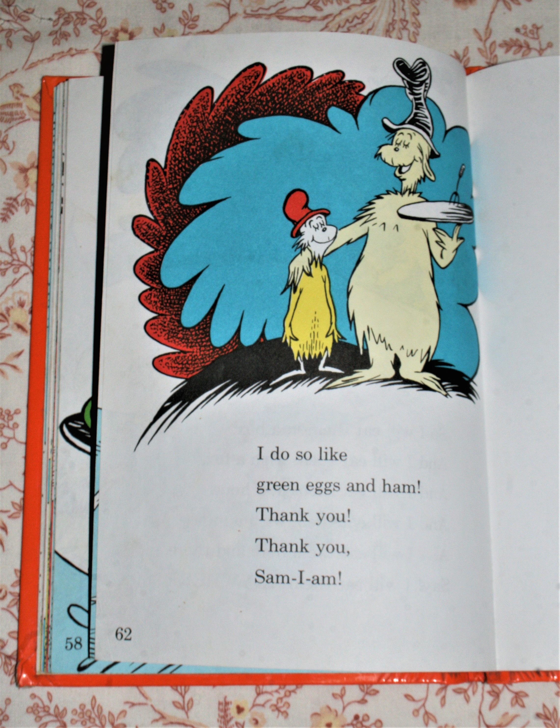 Sam I Am Green Eggs And Ham Book