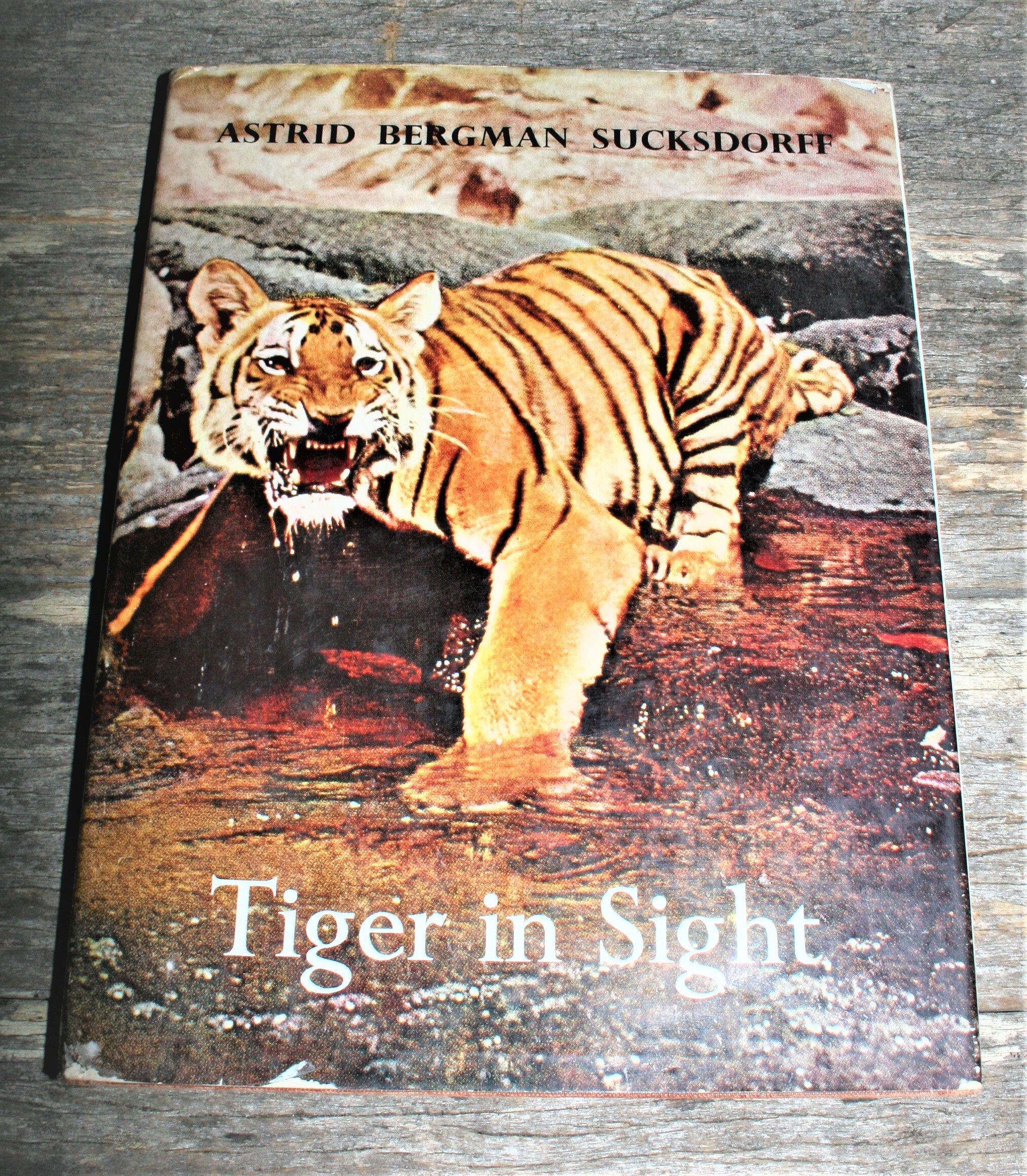 Tiger In Sight By Astrid Bergman Sucksdorff 1970 Vintage | Etsy