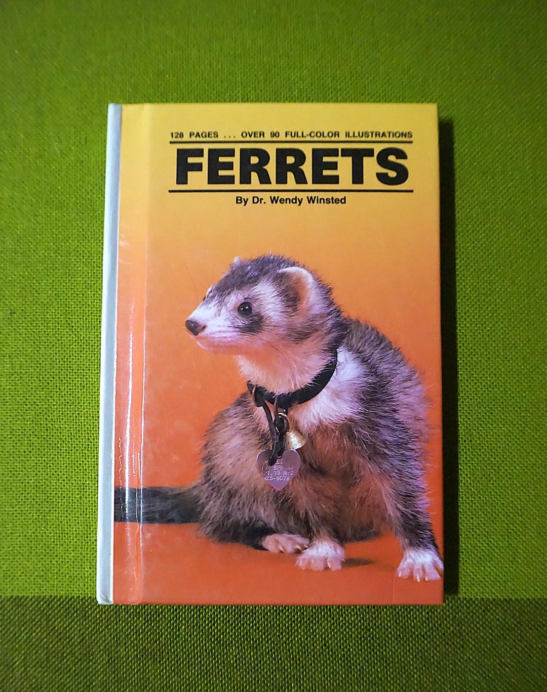 Ferrets by Dr Wendy Winsted - 1989 Vintage Hardcover - Pre-loved Ferret ...