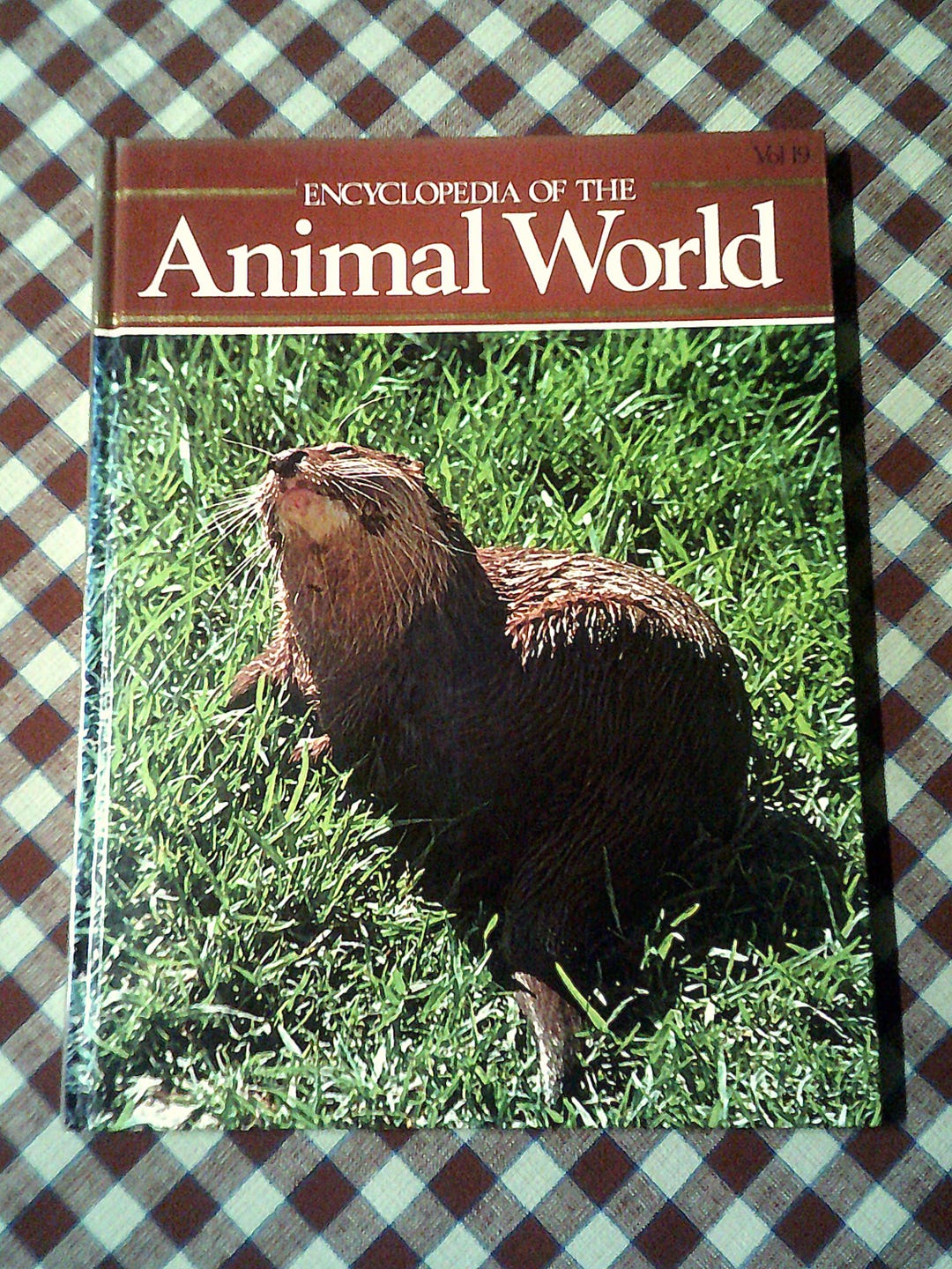 Encyclopedia of the Animal World - Stargazers to Titis - Vol 19 - 1982 ...