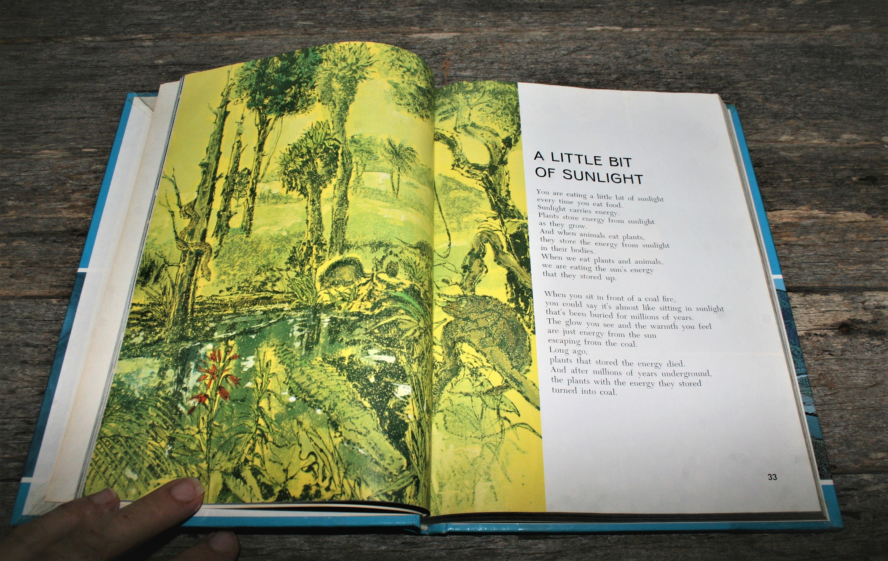 Childcraft the How and Why Library Volume 4 World and | Etsy