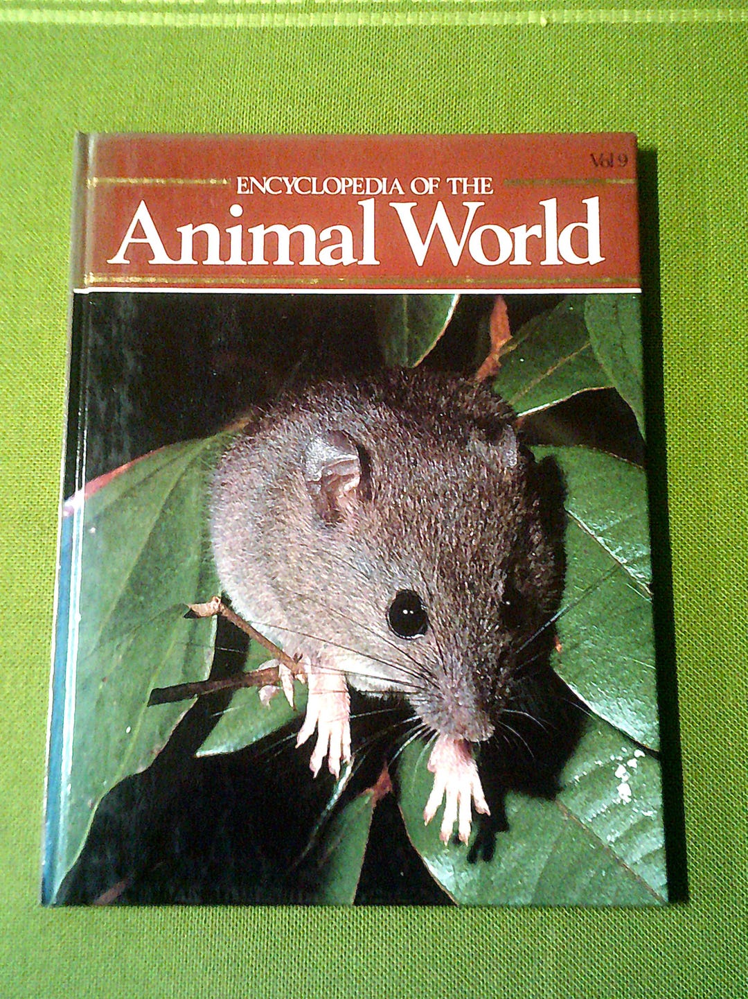 Encyclopedia of the Animal World - Following Response to Goldcrest ...