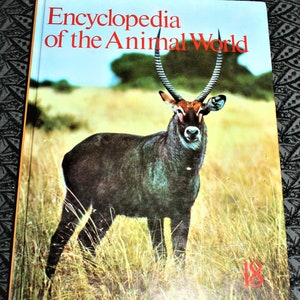 Encyclopedia of the Animal World - Shape of Animals to Starfishes - Vol ...