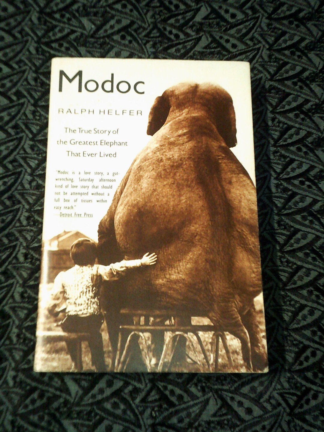 Modoc by Ralph Helfer - the True Story of the Greatest Elephant That ...