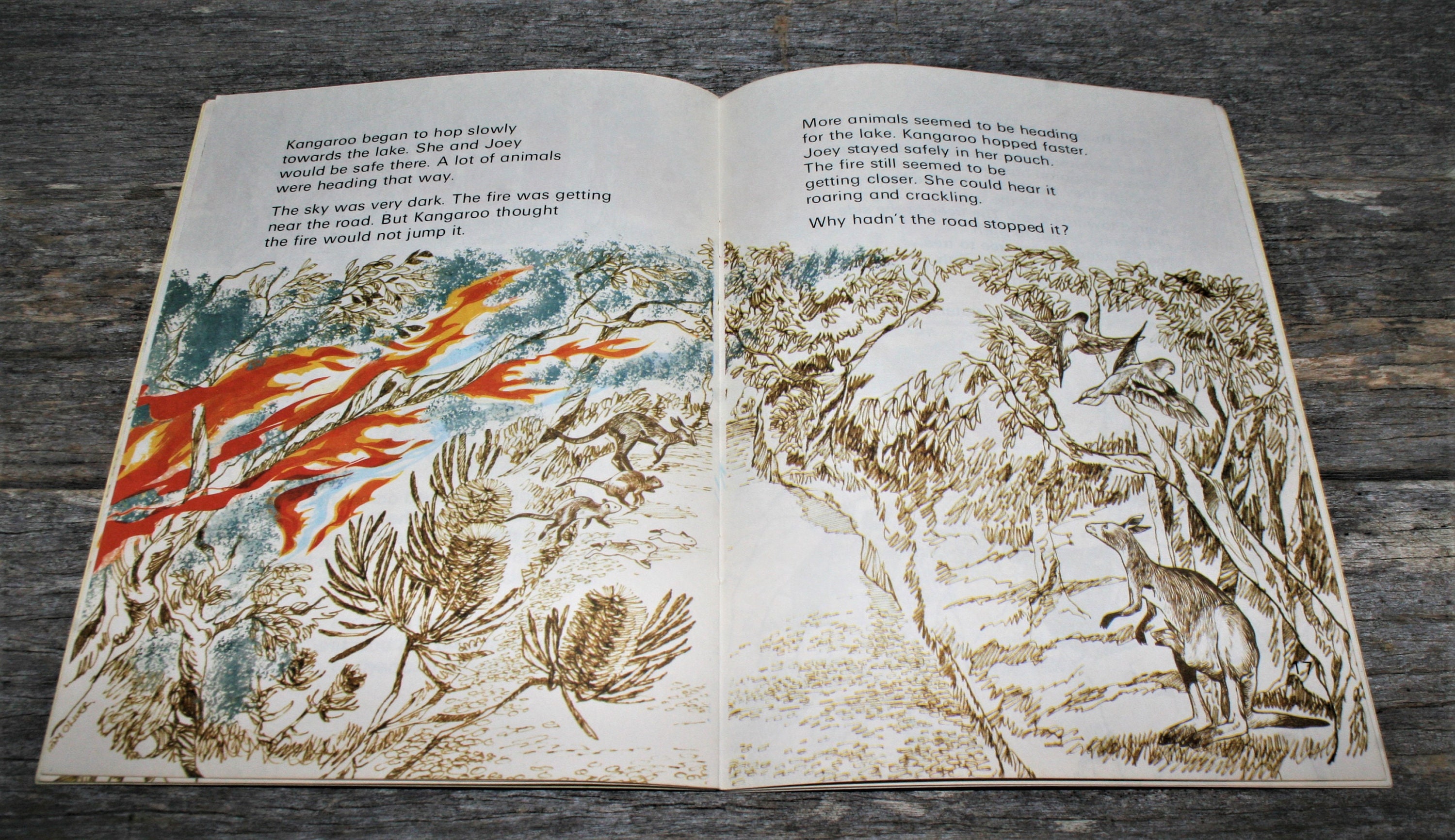 Bushfire - Vintage Paperback Book - 1976 Reading Rigby - an Australian ...