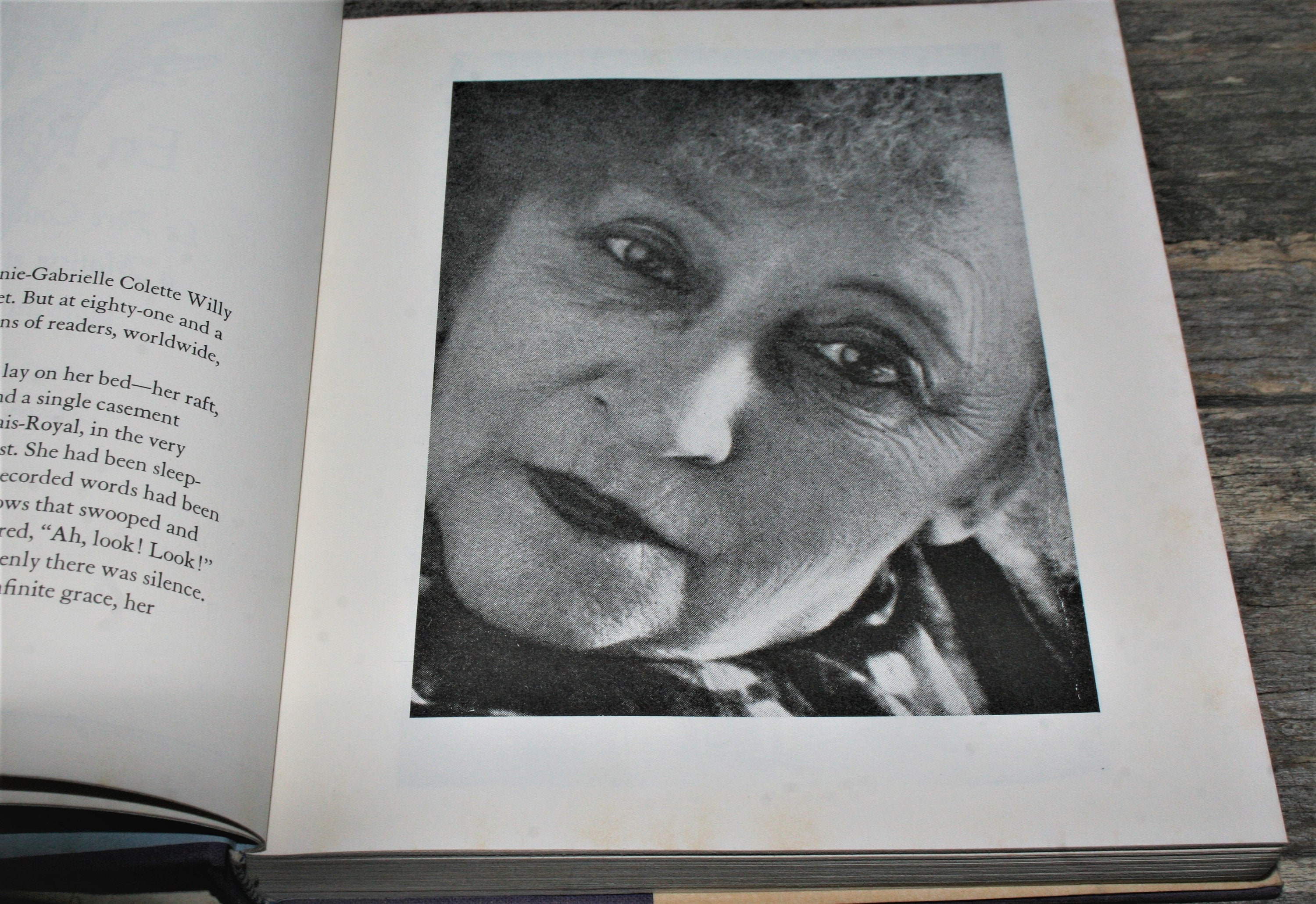 Belles Saisons A Colette Scrapbook by Robert Phelps 1978 | Etsy