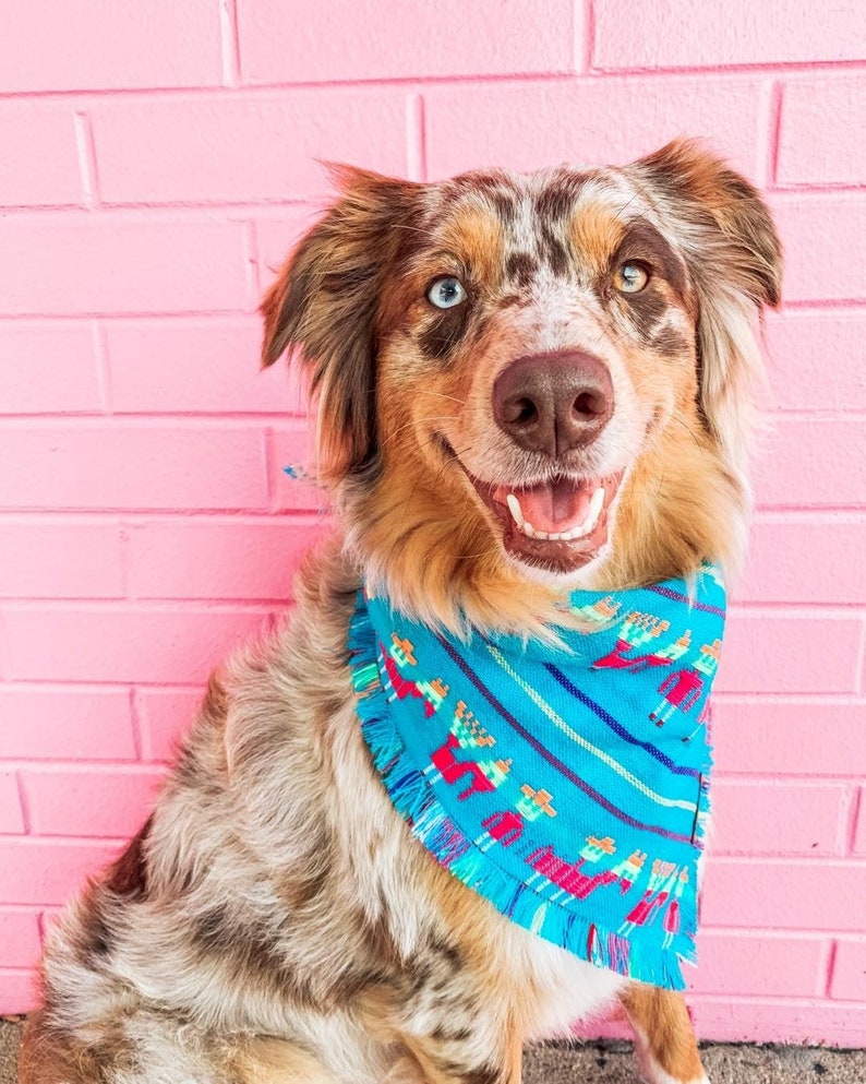 Summer Dog Bandana - Boy Dog Bandana, Boho Dog Bandana, Puppy Bandana ...