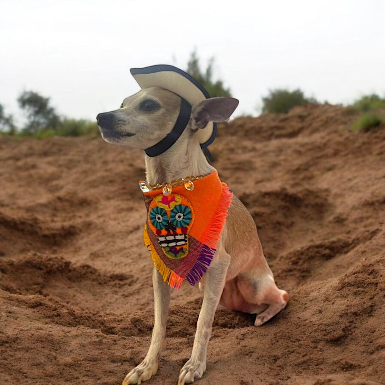 Mexican Handmade Cowboy Hat for Dogs – Mini Pet Sombrero - Etsy
