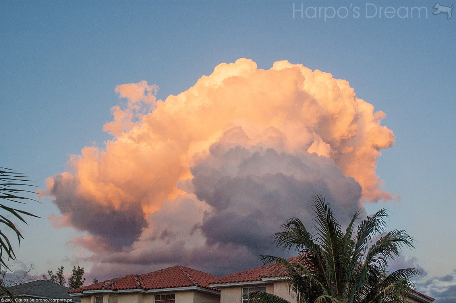 Mother Cloud, Cloud Photo, Fine Art Photography, the Space Between ...