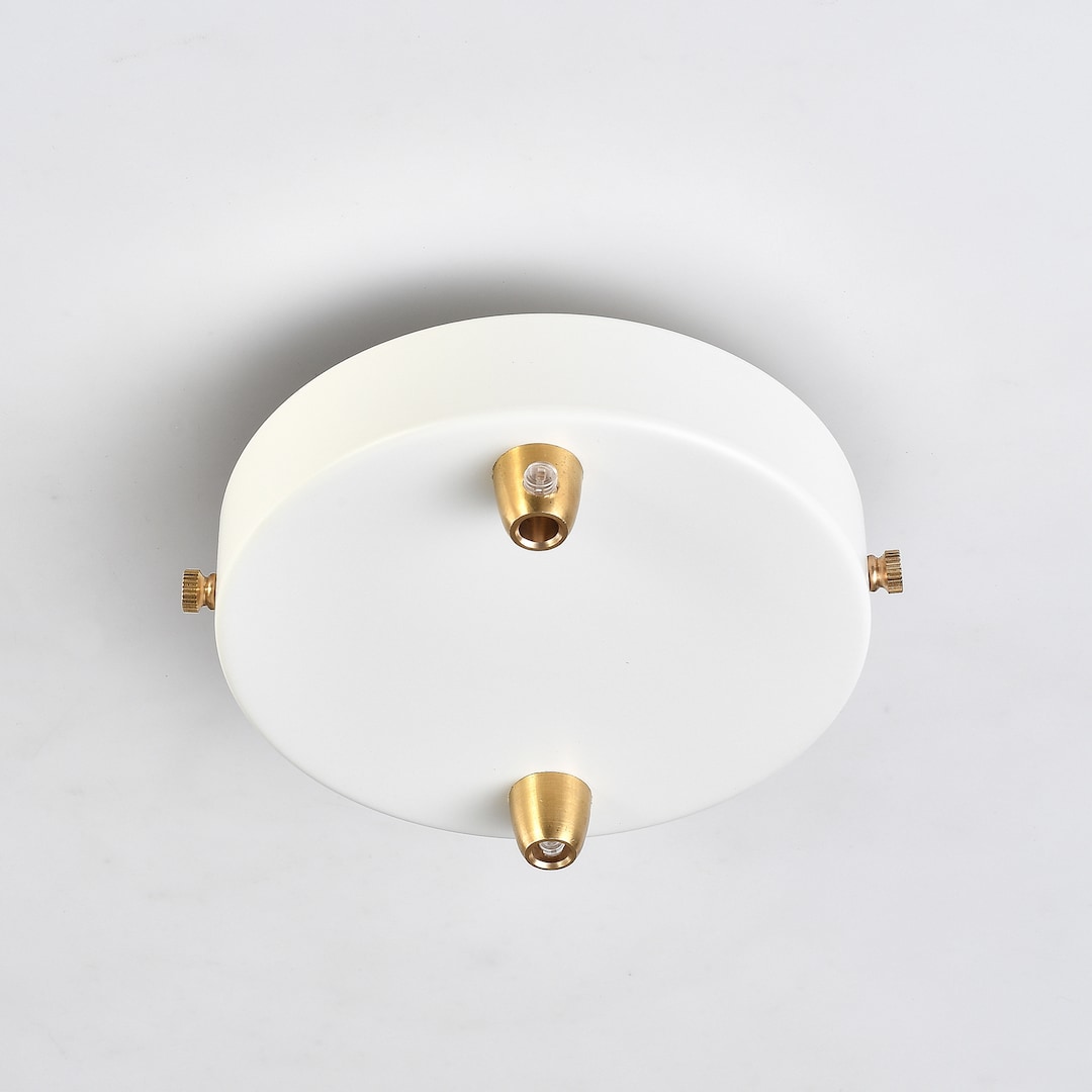 2-port White 4.7in Ceiling Canopy With Brass Hardware - Plug-in to ...