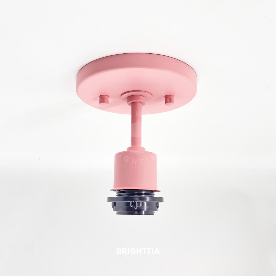 Light Pink Shade-ready Ceiling Lamp - Colorful Modern Minimalist ...